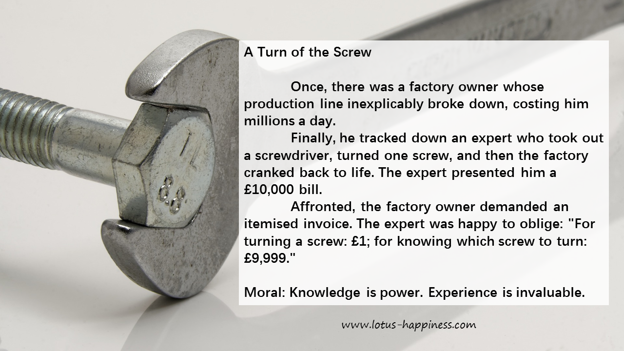 A Turn of the Screw - Lotus Happiness