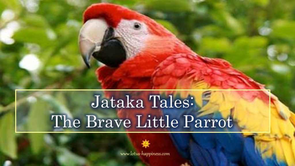 Tibetan Buddhist Prayers - Lotus Happiness