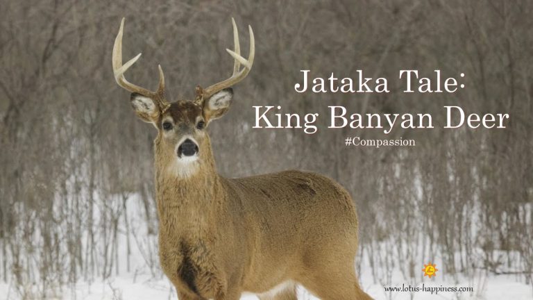 20 Important Suttas in the Pali Canon (for Lay Buddhists) - Lotus Happiness