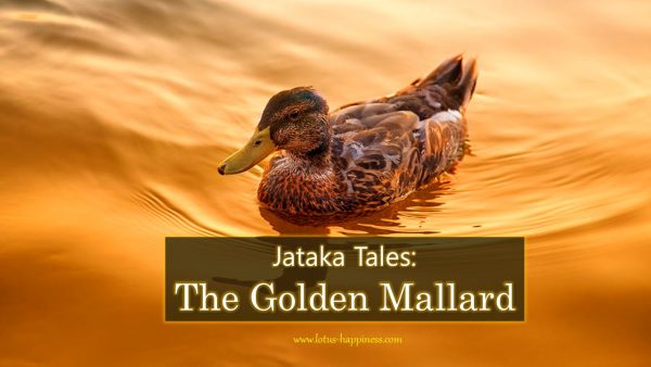 20 Important Suttas in the Pali Canon (for Lay Buddhists) - Lotus Happiness